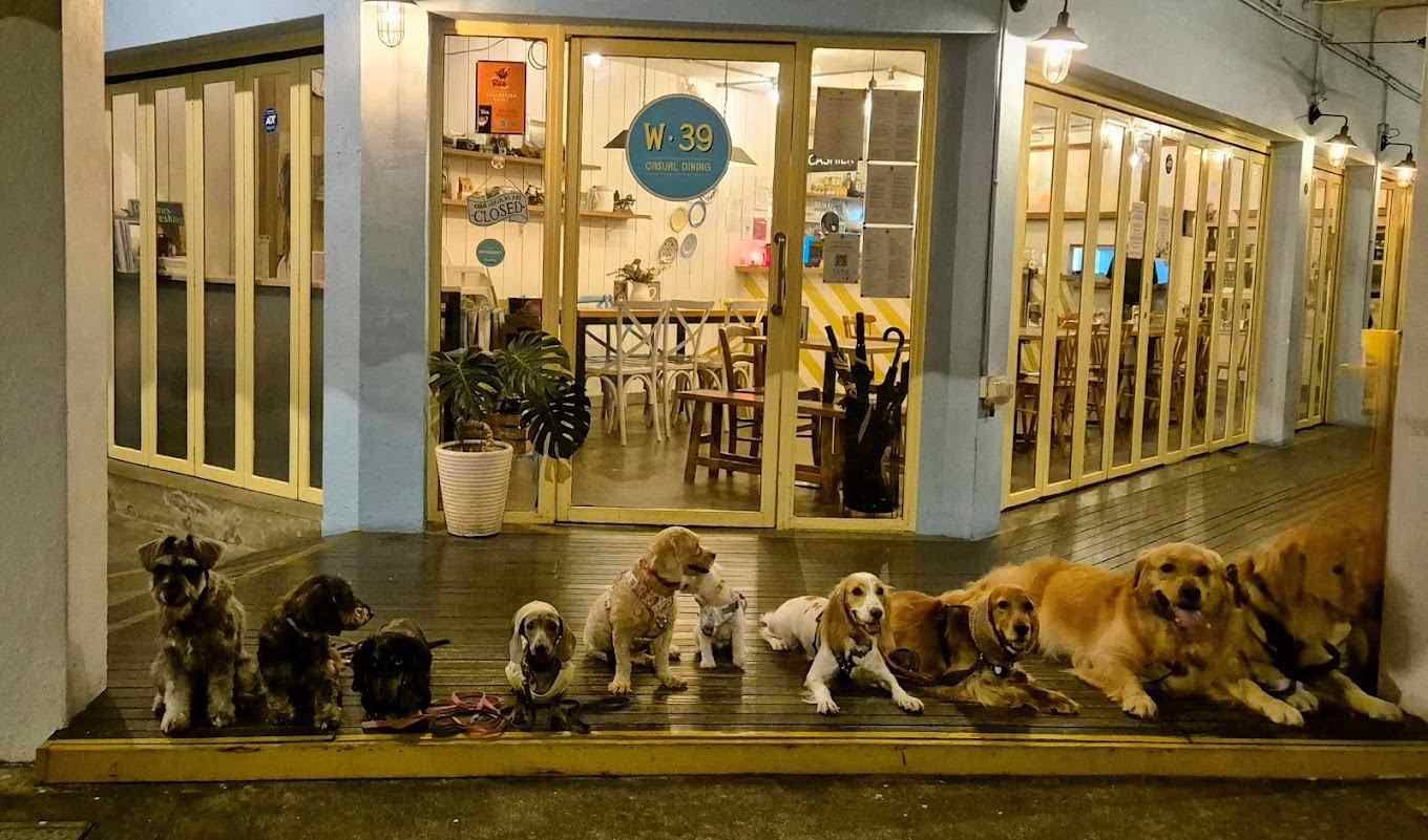 Pet-Friendly Cafés in West Singapore to Visit in 2024